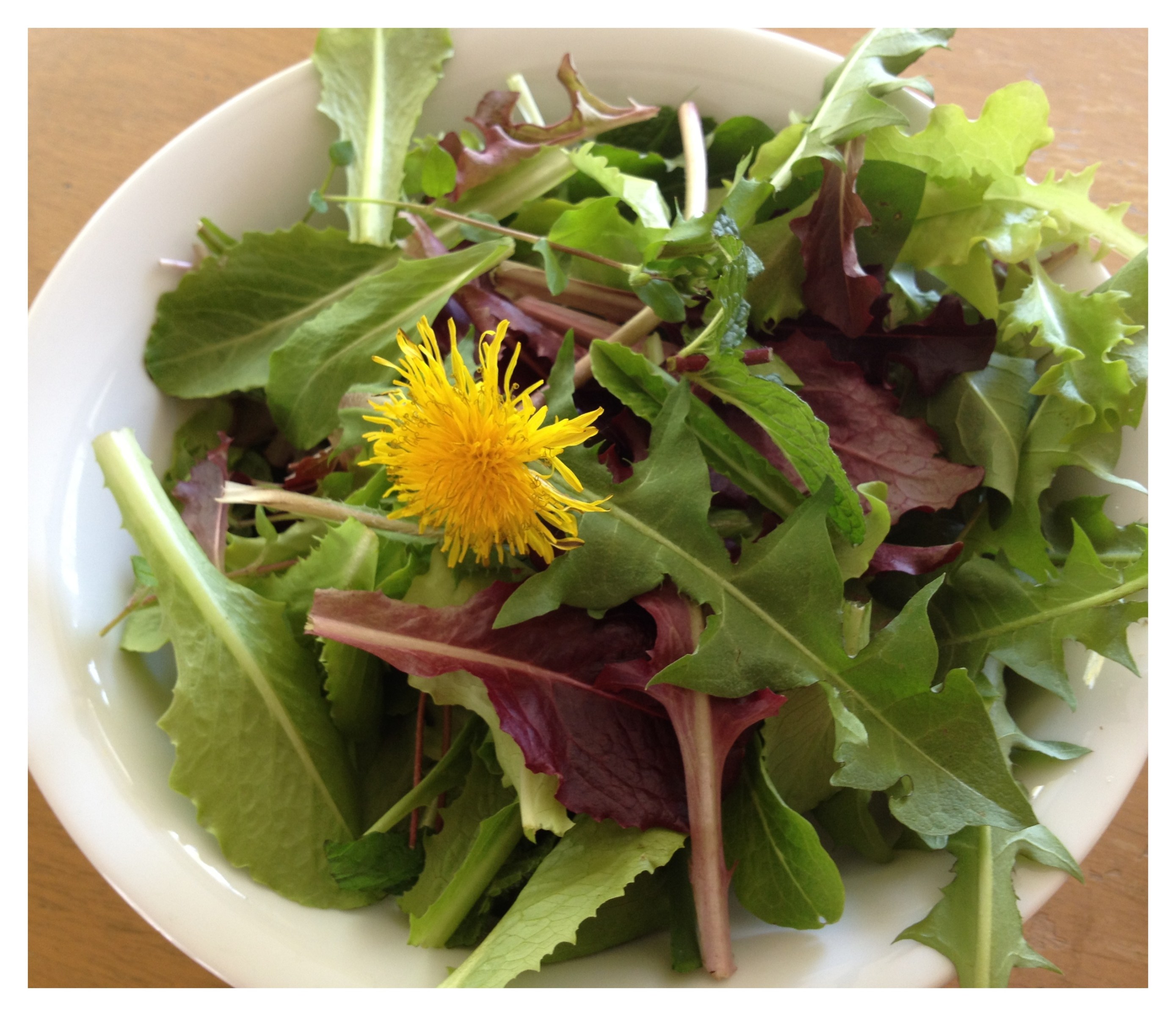 wild tales from the journeys of lisa m. rose