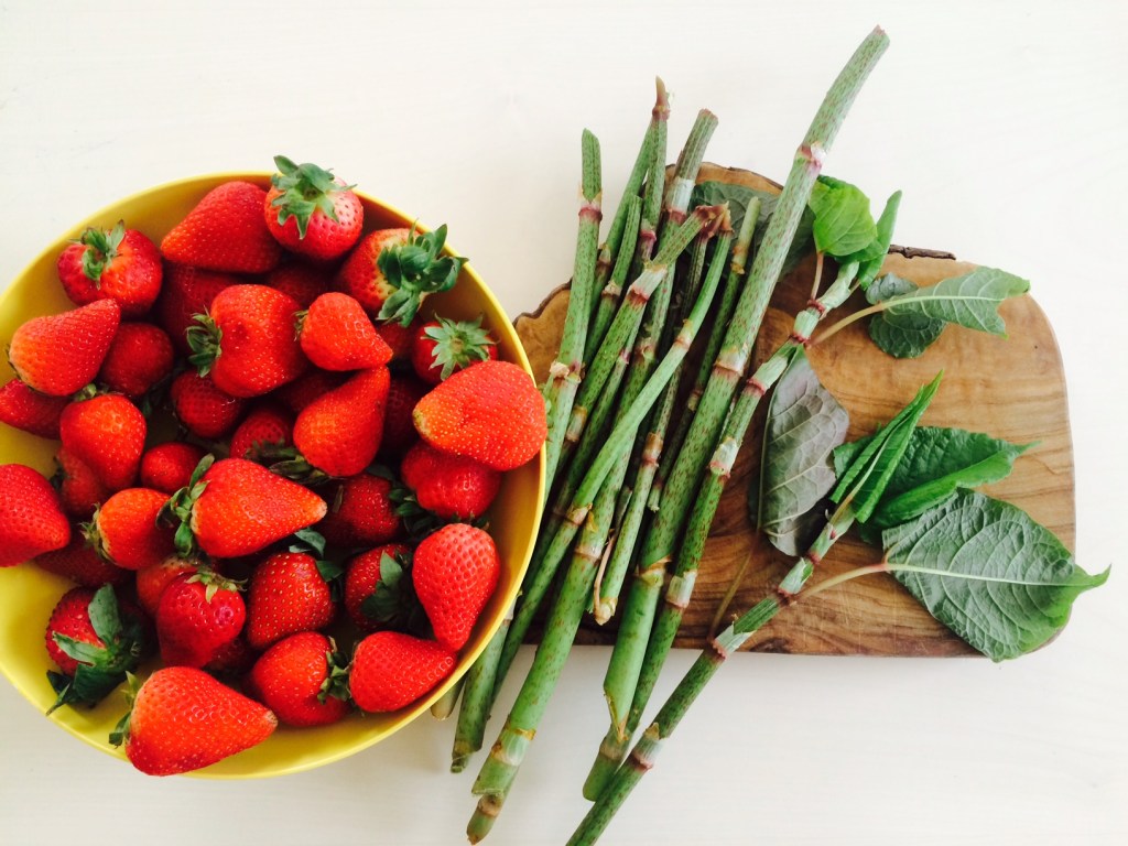 wild tales from the journeys of lisa m. rose