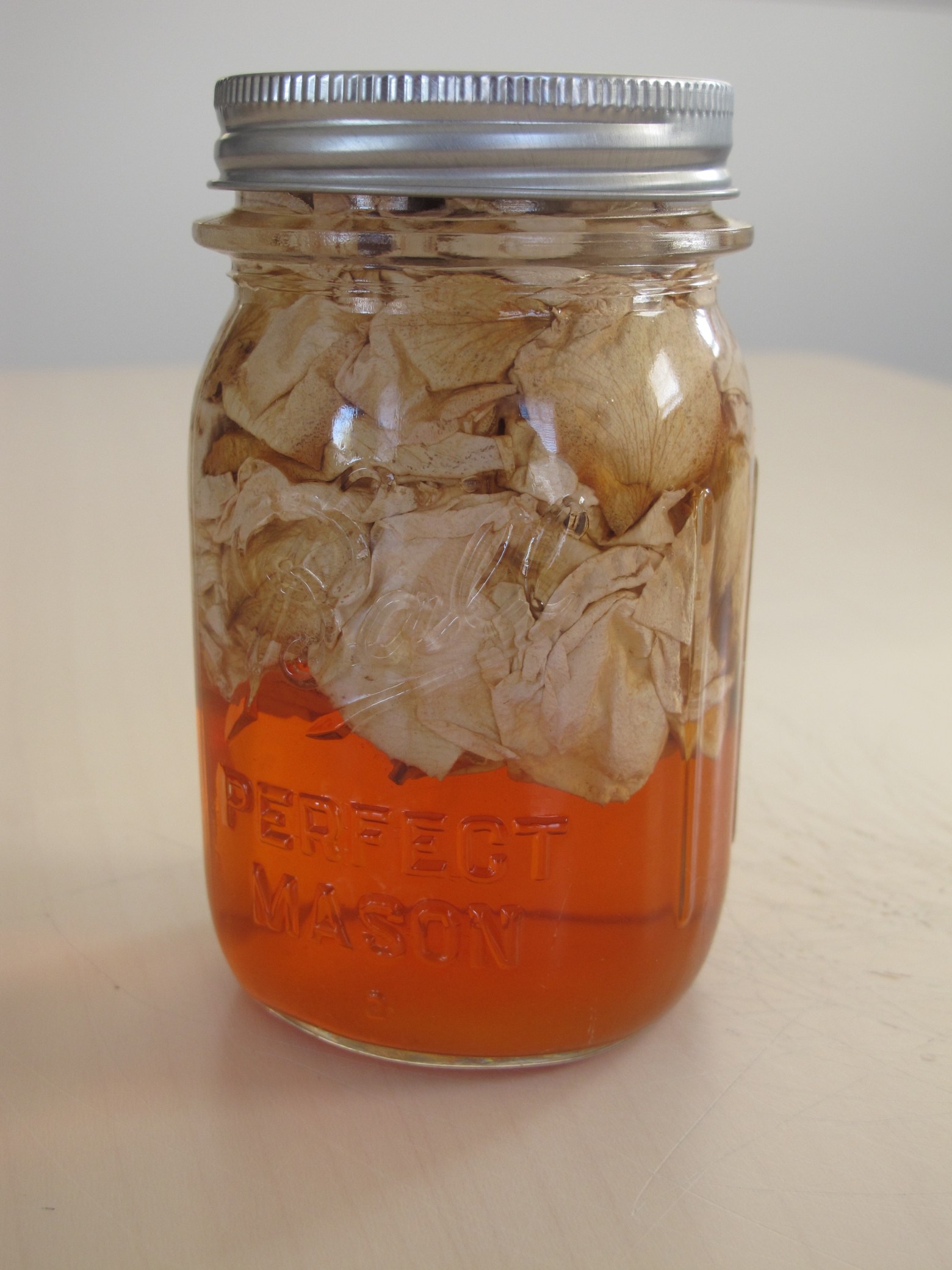 Page 2 – wild tales from the journeys of lisa m. rose