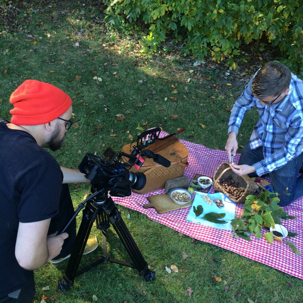 Page 2 – wild tales from the journeys of lisa m. rose