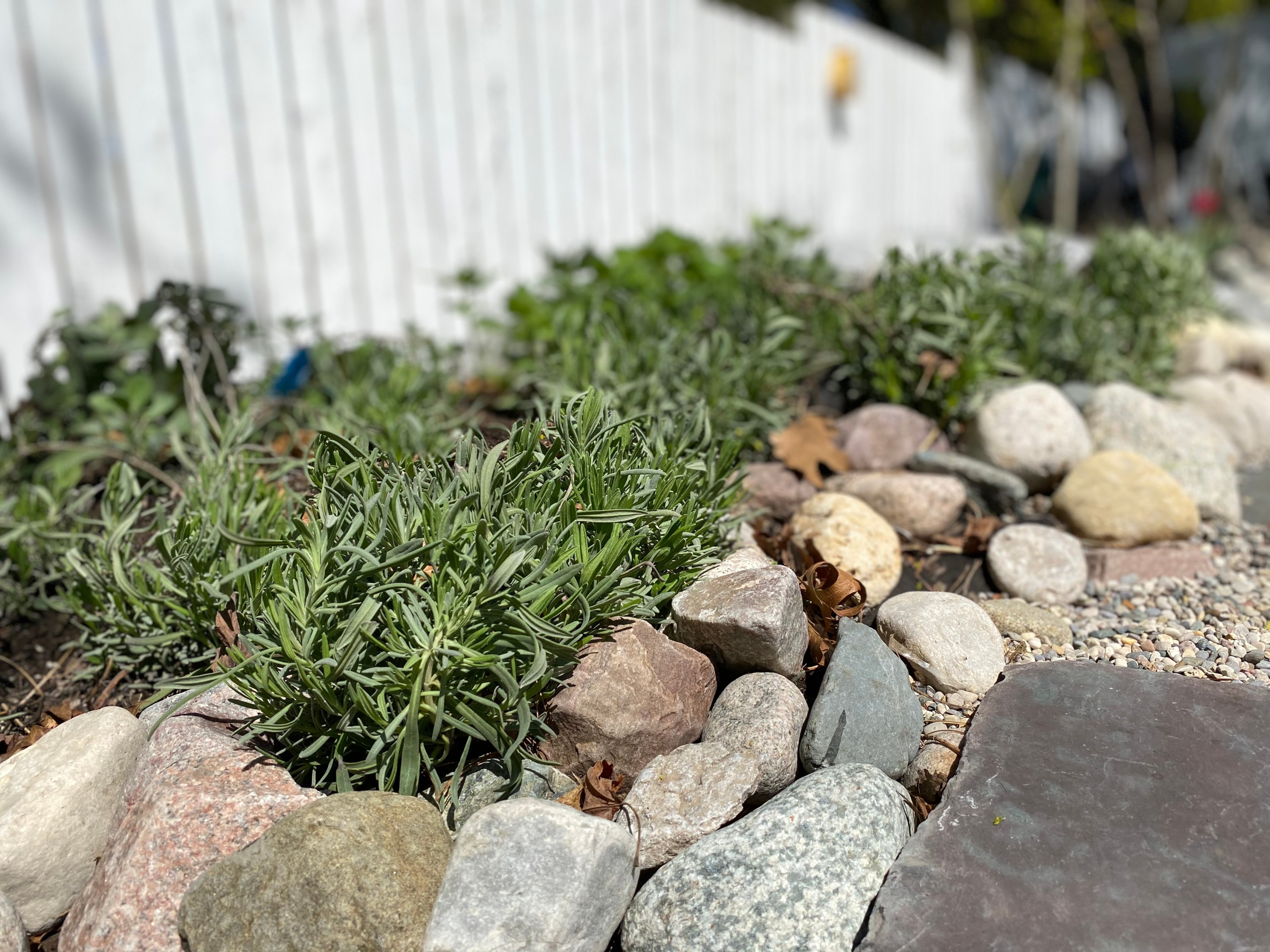 Page 2 – wild tales from the journeys of lisa m. rose