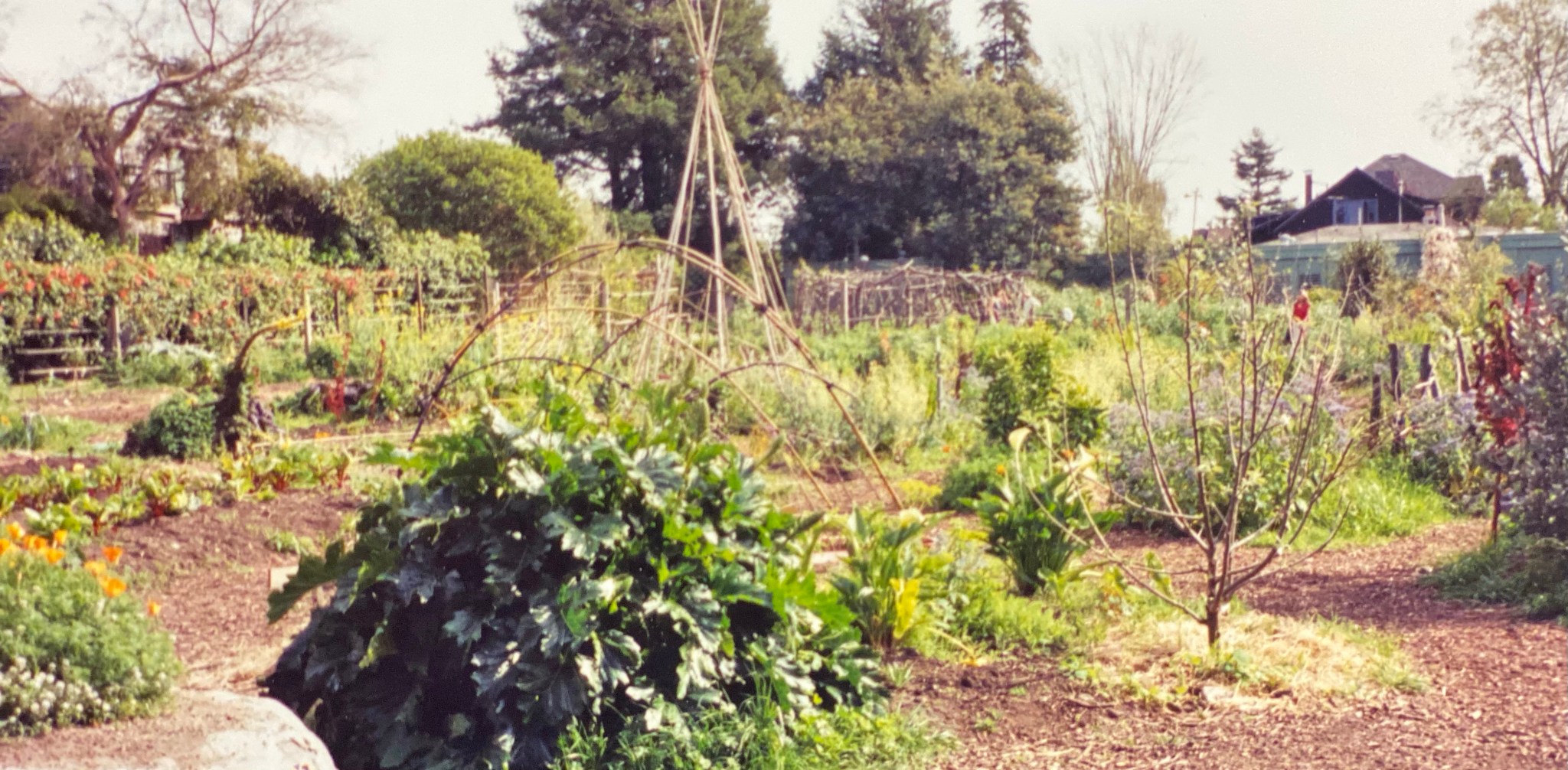 Page 2 – wild tales from the journeys of lisa m. rose