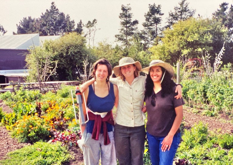 Page 2 – wild tales from the journeys of lisa m. rose