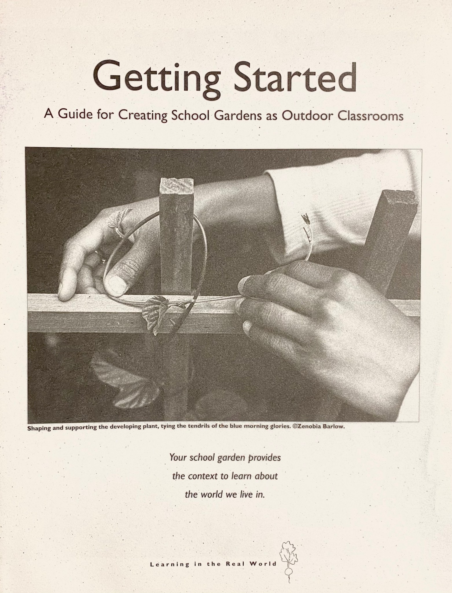 Page 2 – wild tales from the journeys of lisa m. rose