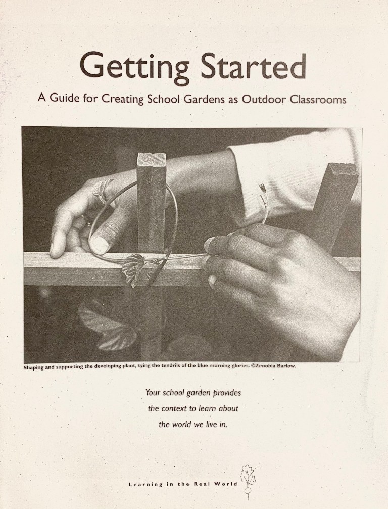 Page 2 – wild tales from the journeys of lisa m. rose