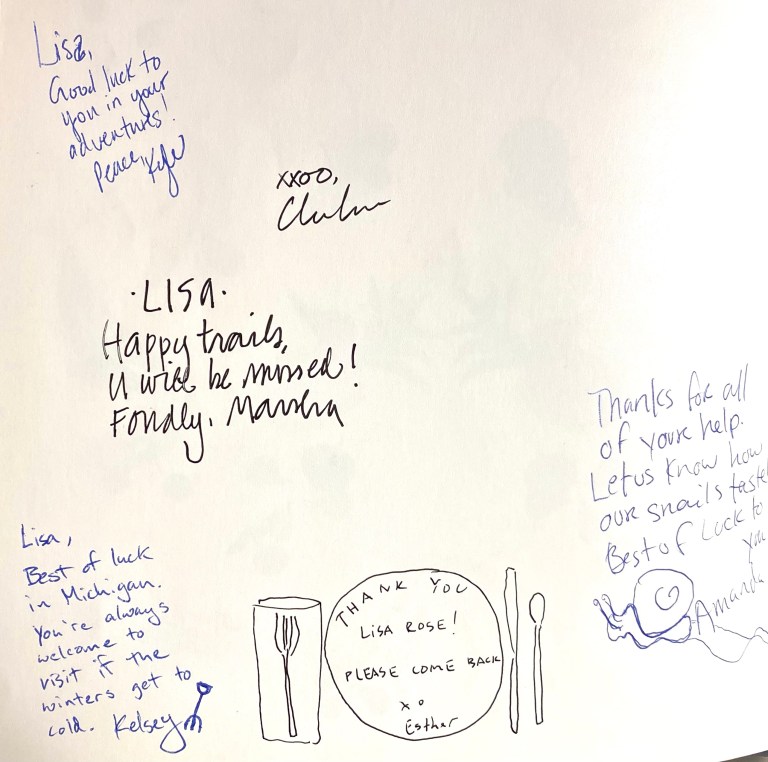 Page 2 – wild tales from the journeys of lisa m. rose