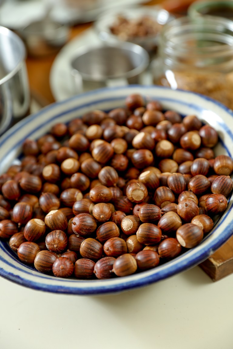 wild tales from the journeys of lisa m. rose