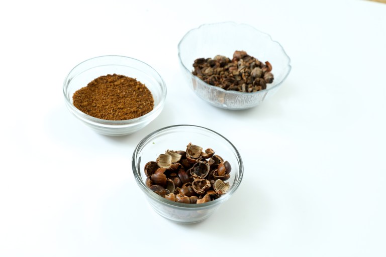 wild tales from the journeys of lisa m. rose